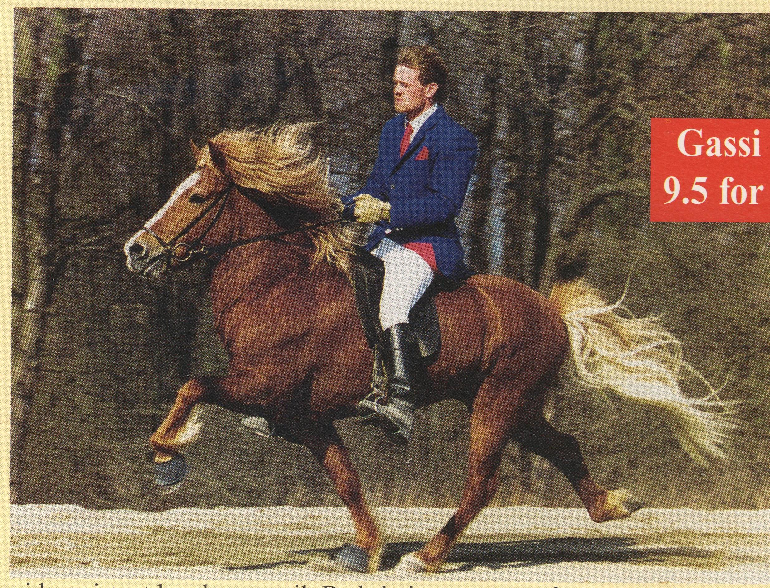 Gassi IS1982187036 from Vorsabæ 2 | Vorsabær II